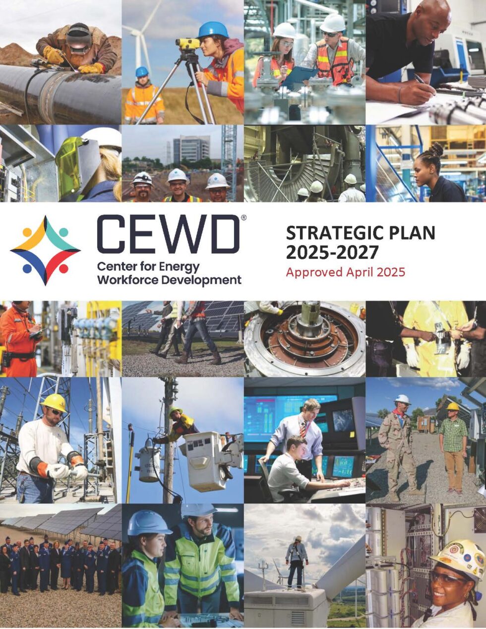 Strategies and Initiatives | CEWD